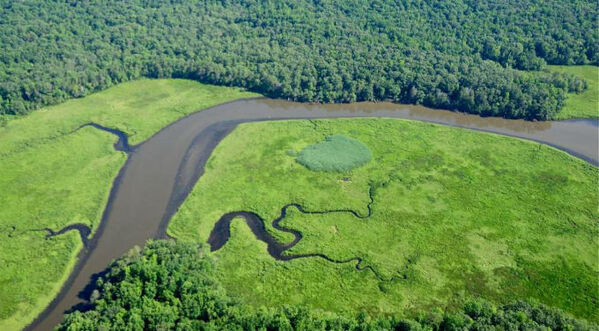 Building trust and connections through internal communications