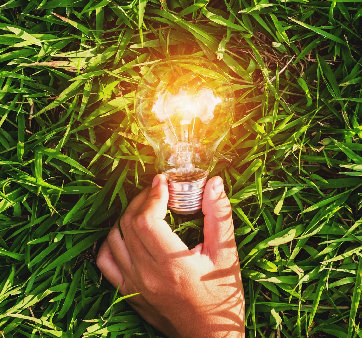 How to Improve Corporate Social Responsibility | Reward Gateway
