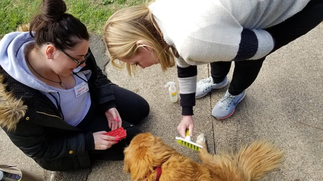 Volunteer Benefits to Engage Employees | Reward Gateway AU